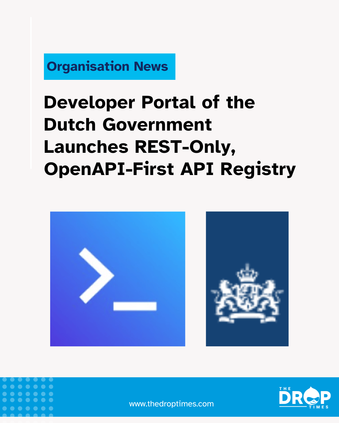 Developer Portal of the Dutch Gov Launches Rest-Only, OpenAPI-First API ...