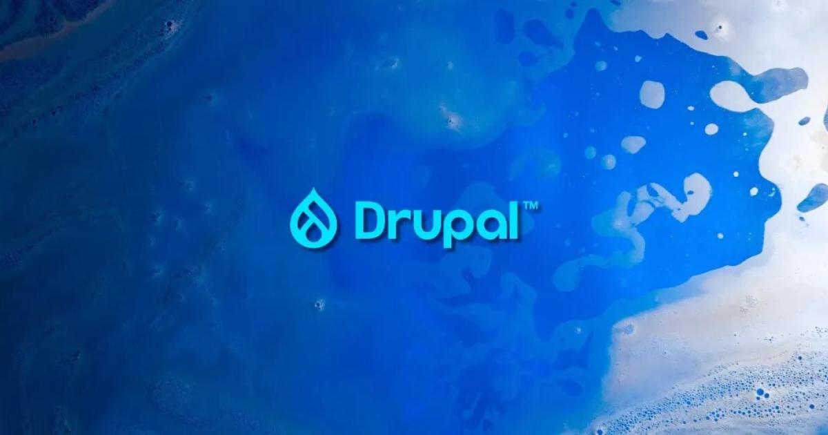 Navigating the Benefits of Drupal Consultants: A Comprehensive Guide