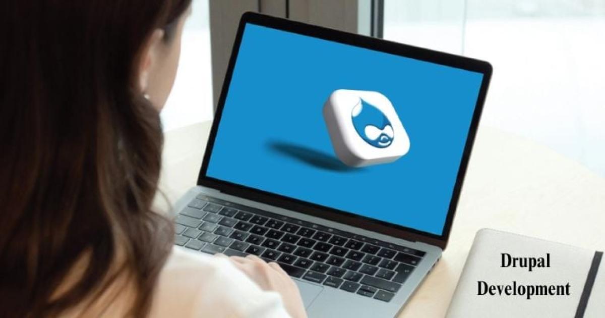 Drupal: The Premier Choice for E-Government Portal Development