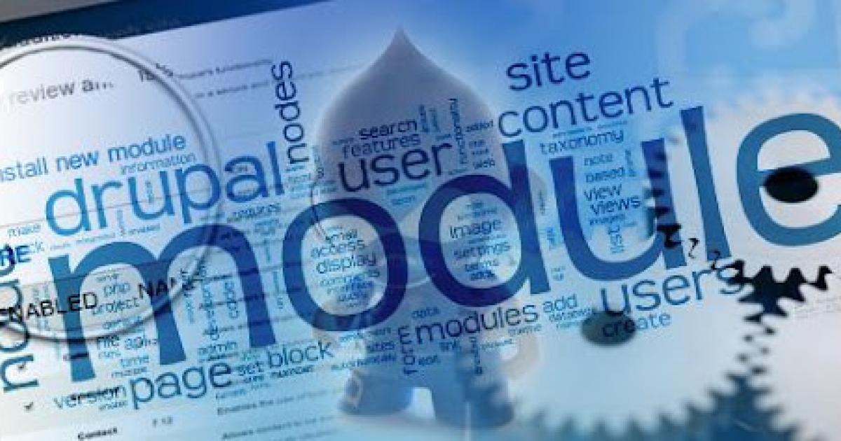 Managing Custom Modules: A Guide to Drupal Upgrades