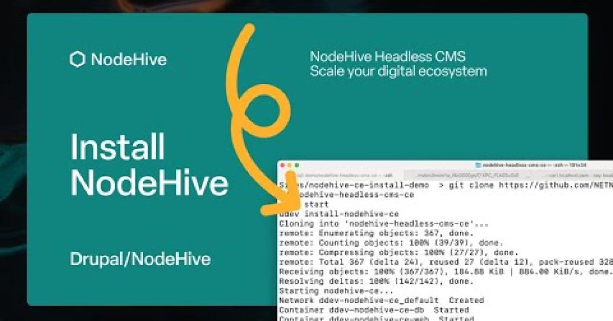 How to Install NodeHive Headless CMS Locally: A Tutorial by Lukas Fischer