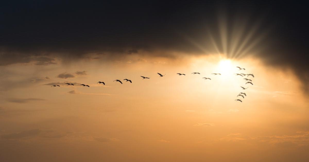 Step-by-Step Guide: Migrating Field Formatter Settings from Drupal 7 to Drupal 10