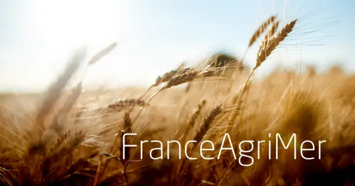 FranceAgriMer Launches New Drupal Website with Sully Group Support