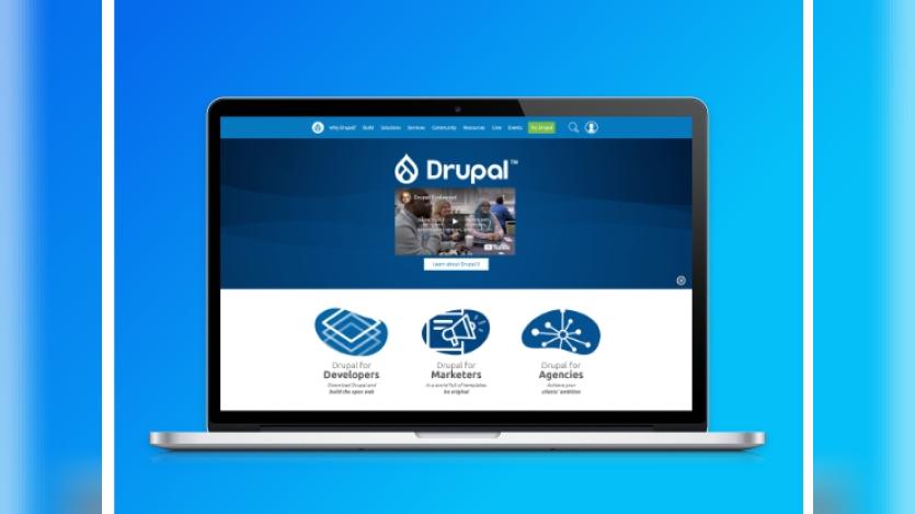 Decoding Drupal: Headless vs. Decoupled