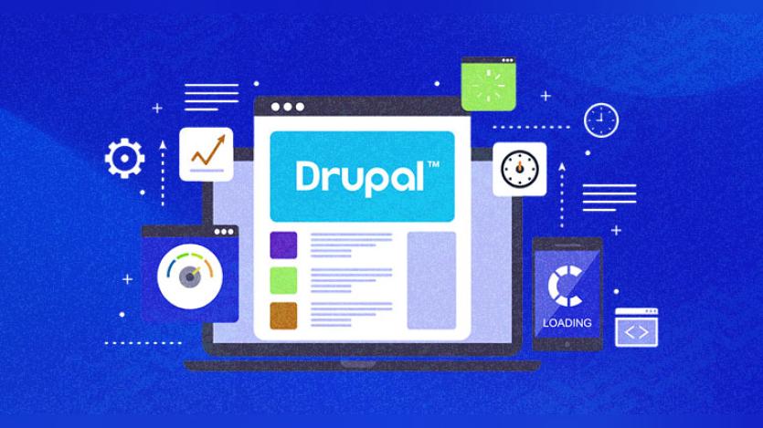 Drupal 2024: Future Insights and Exciting Developments