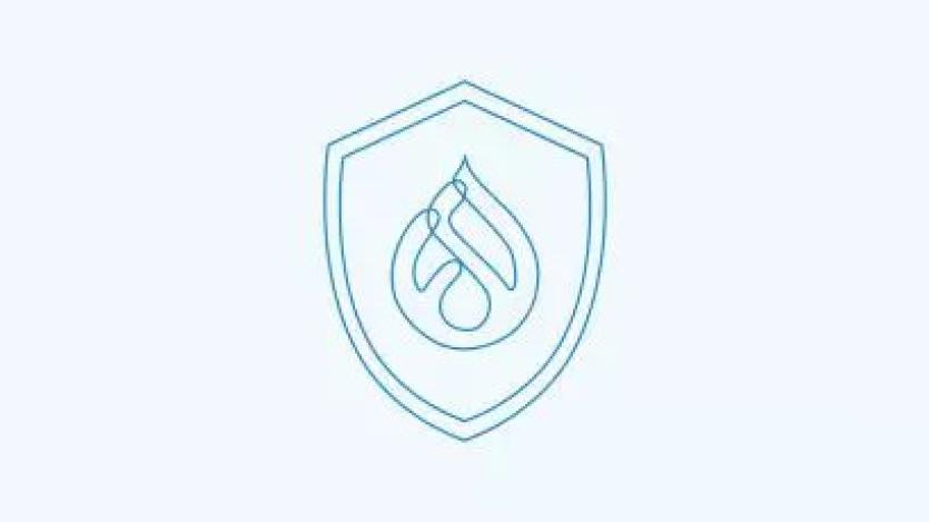 Inside "Anemone": How the Drupal Security Team Handled a Core XSS ...