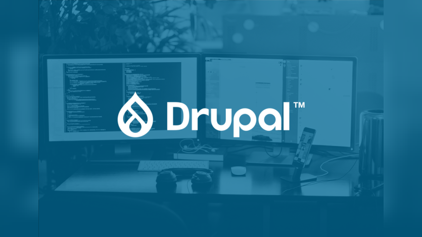 Drupal Webform Libraries: Beginner's Guide
