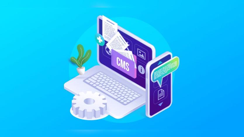 Simplifying CMS Selection: Choosing the Right Platform