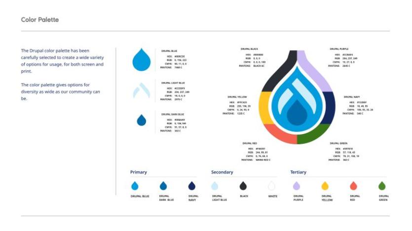 Suzanne Dergacheva Discusses New Drupal Brand Unveiled at DrupalCon ...