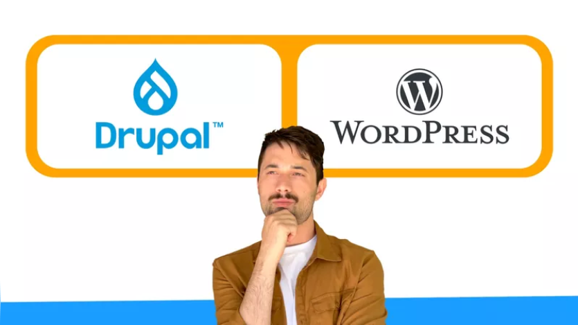 Drupal Vs Wordpress Key Differences For Web Development Projects