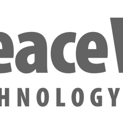 PeaceWorks Technology Solutions | TheDropTimes